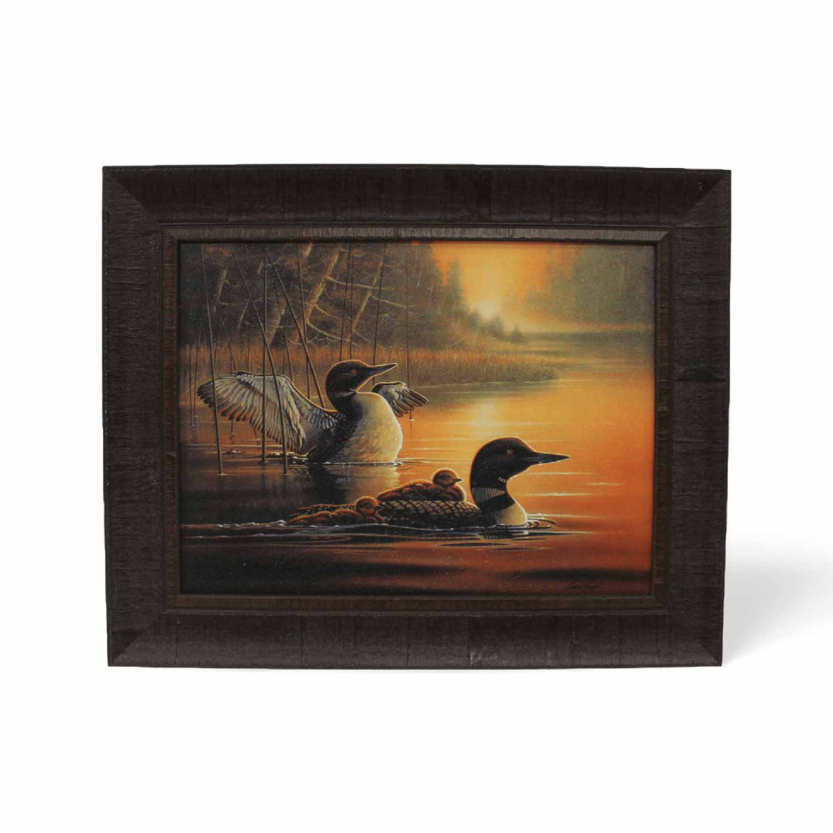 Two Loons with Two Young Artwork – Roughing It In Style